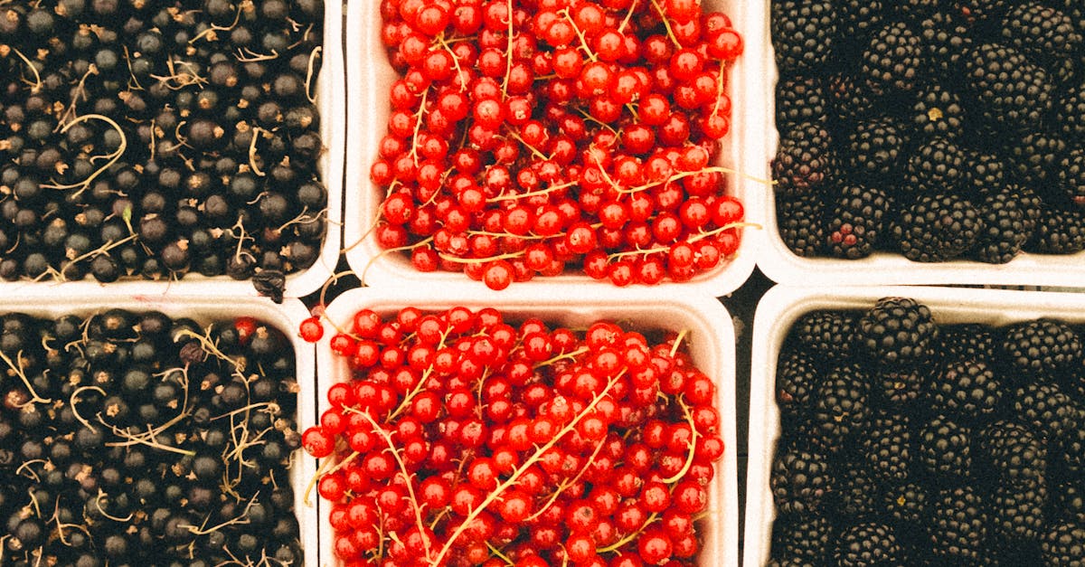 Black Currants for Heart Health Month: A Food-First Guide to Adding Th ...