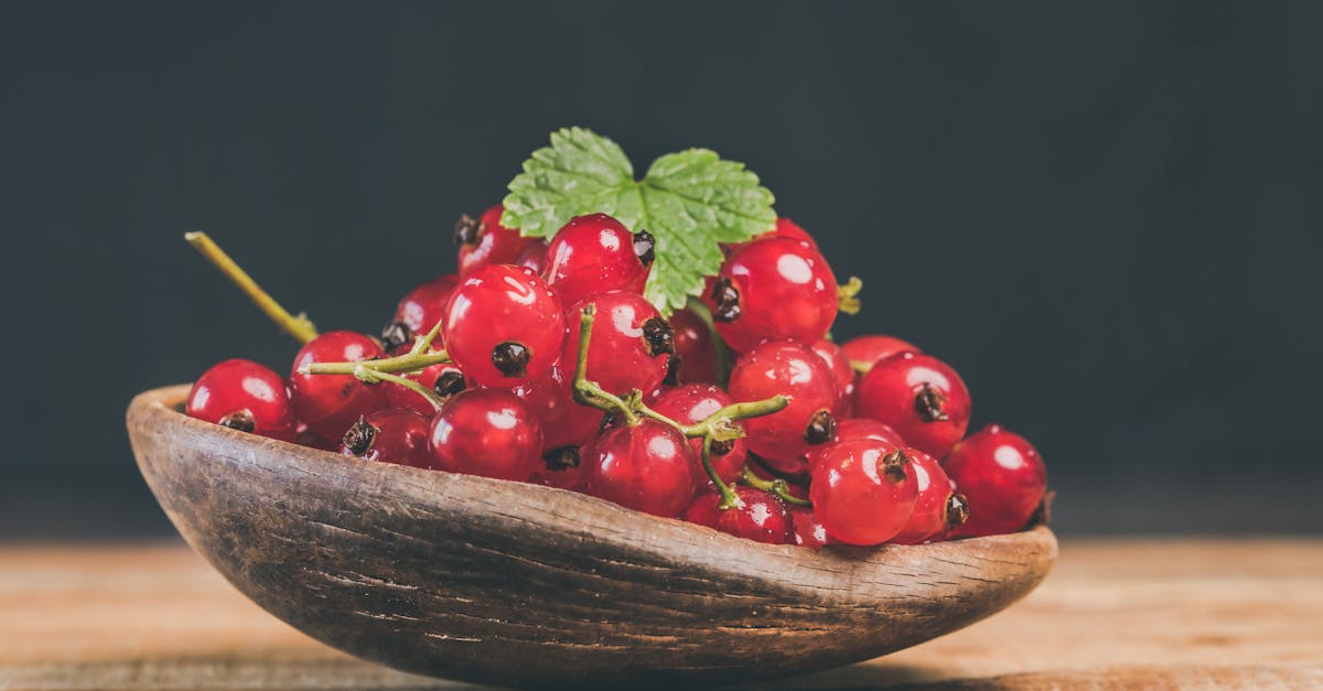 Why Black Currants Were Banned in the U.S. (and What Changed) — CurrantC™