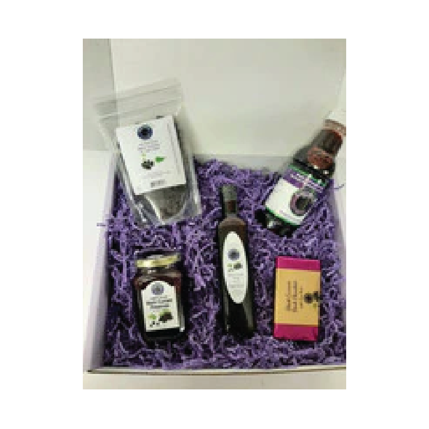 CurrantC™ Sampler Gift Box — CurrantC™